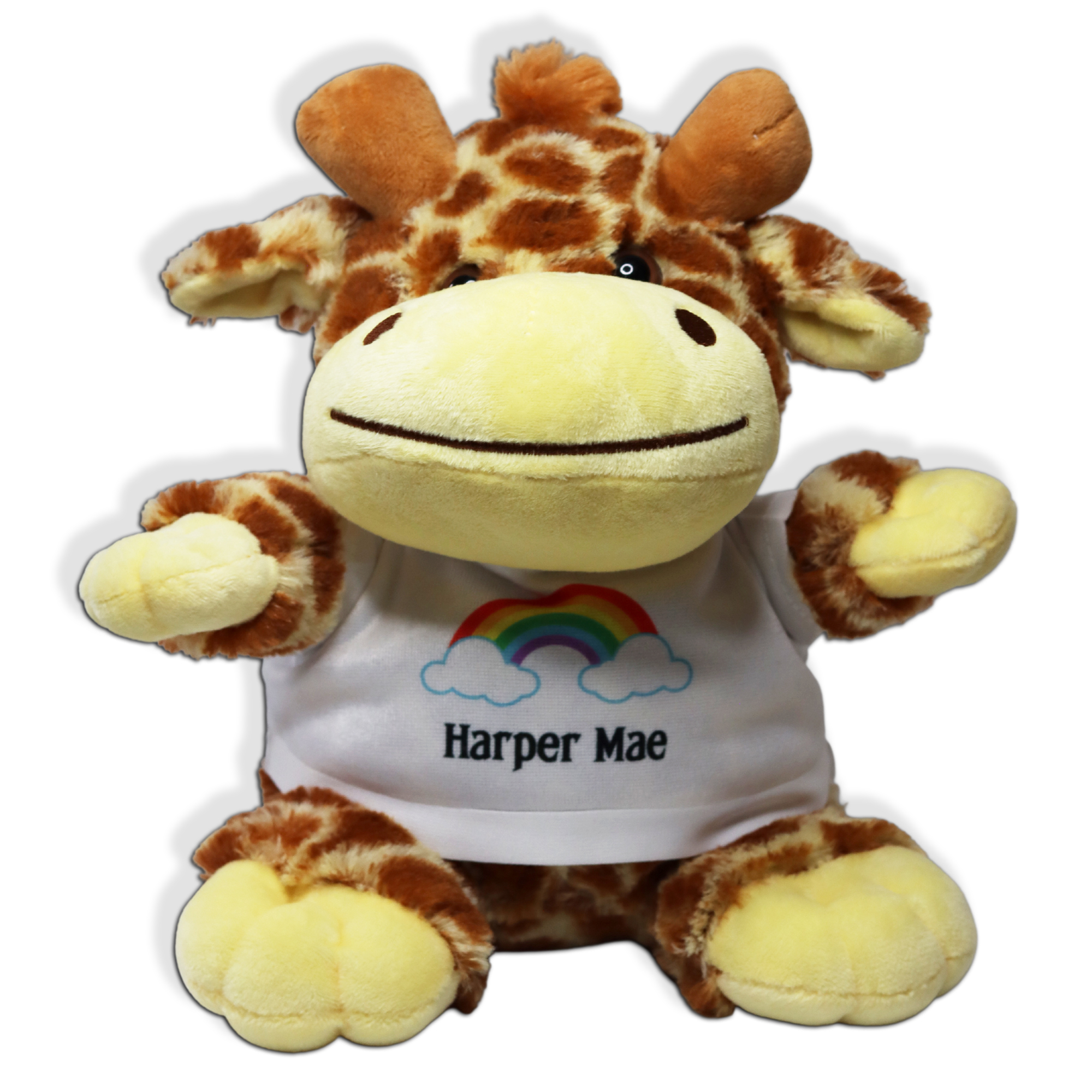 Personalised Name Teddy Bear - Personalised Soft Toy - Dog, Monkey etc